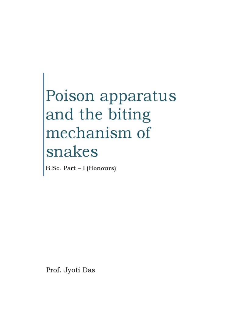 Snake Biting Mechanism and Poison Apparatus | PDF | Snake | Squamata