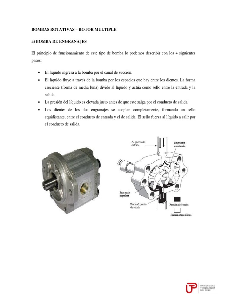 Bombas Rotativas - Rotor Multiple | PDF | Bomba | Engranaje