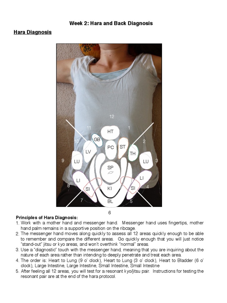 Hara Diagnosis PDF | PDF | Vertebra | Vertebral Column