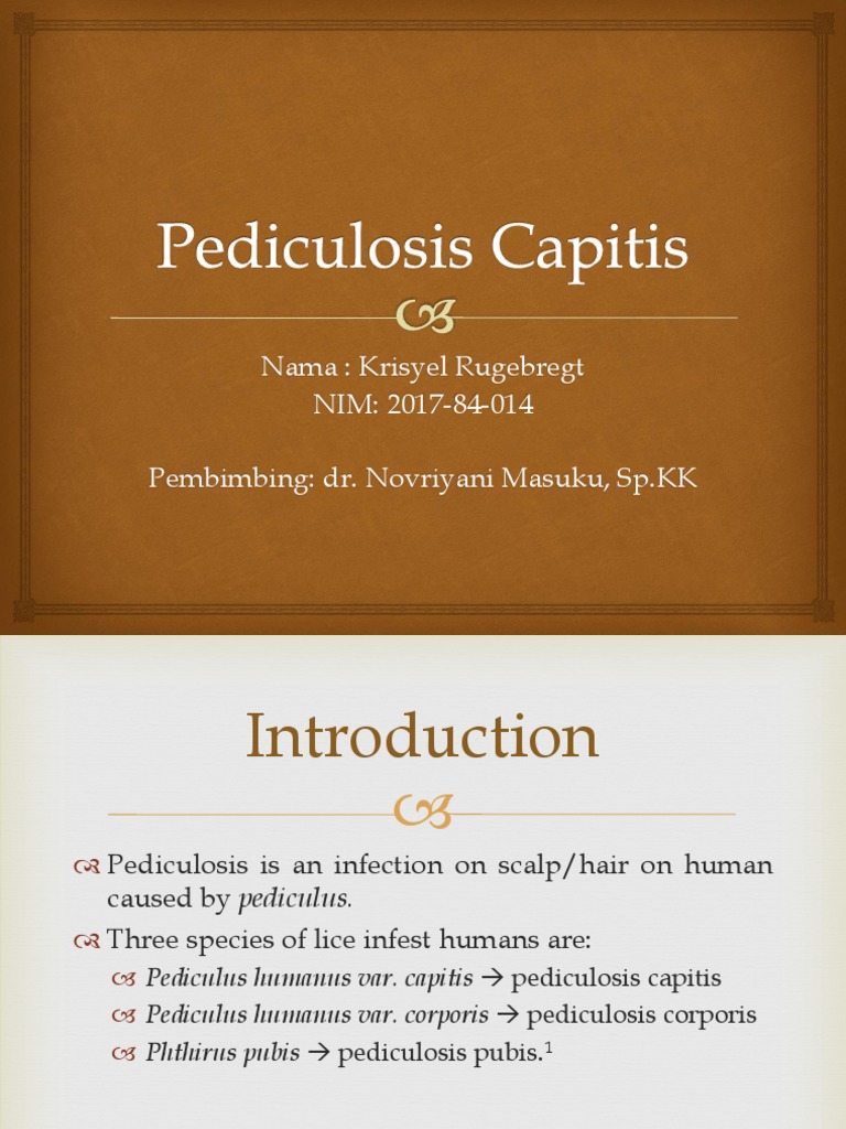 Presentasi Pediculosis Capitis | PDF | Parasites | Parasitology