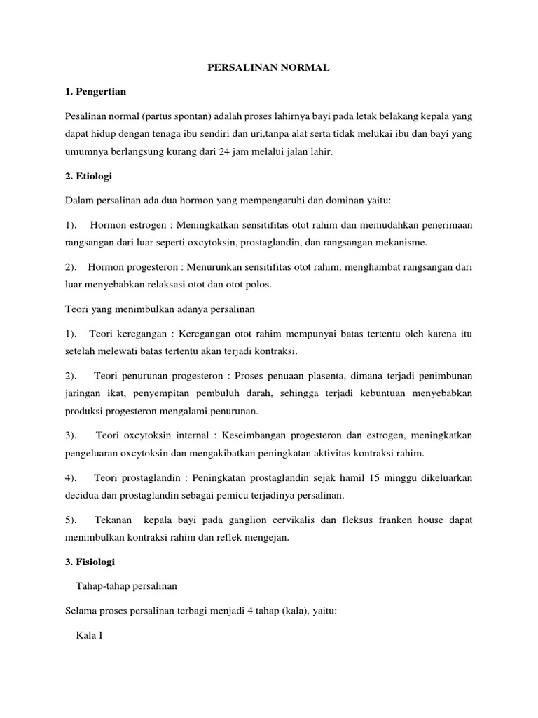 LP Persalinan Normal 1 | PDF
