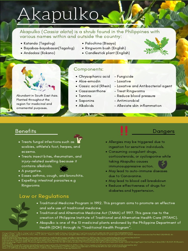Akapulko (Cassia Alata) | PDF | Herbalism | Health Sciences