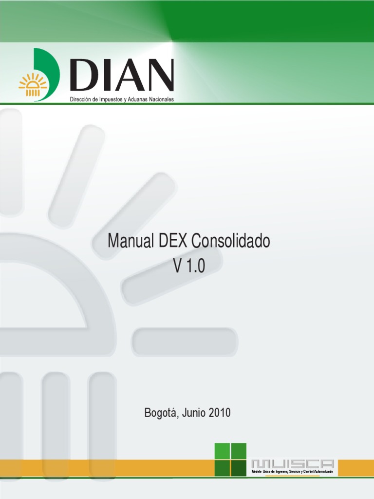 Manual DEX Consolidado 2010 | PDF | Decimal | Archivo de computadora