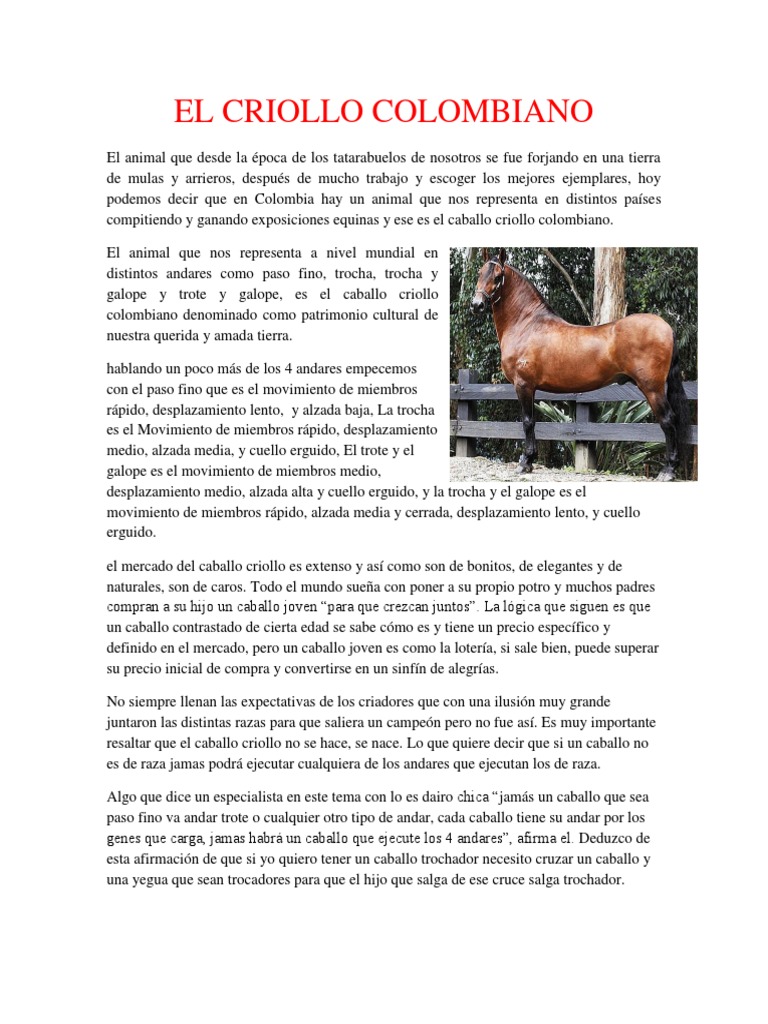 EL CRIOLLO COLOMBIANO Brandon (Migue Cardona) | PDF | Caballos | Colombia