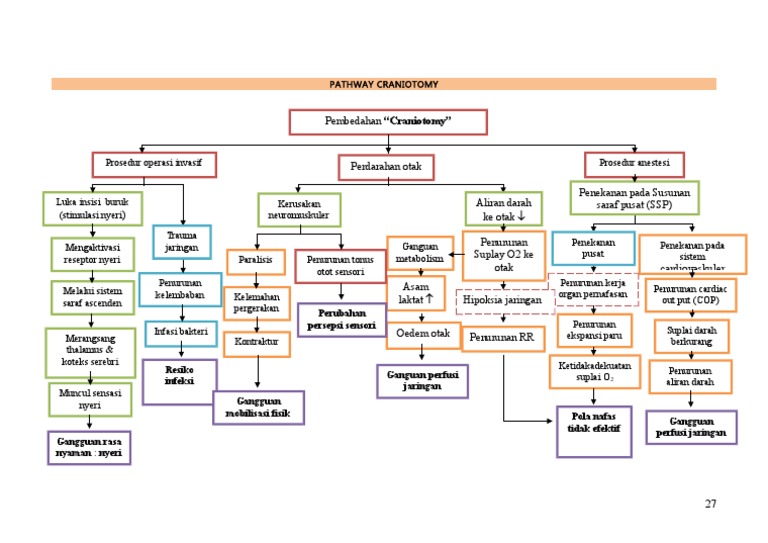 Pathway Craniotomy | PDF