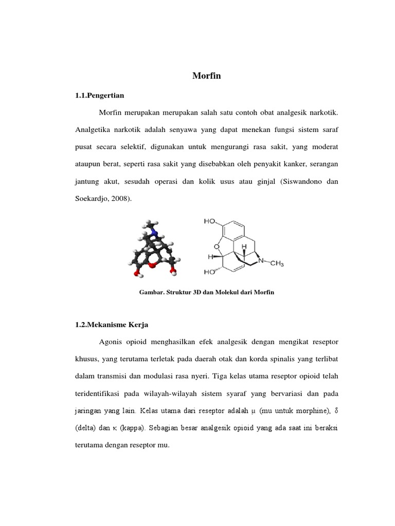 Mekanisme dan Struktur Morfin | PDF