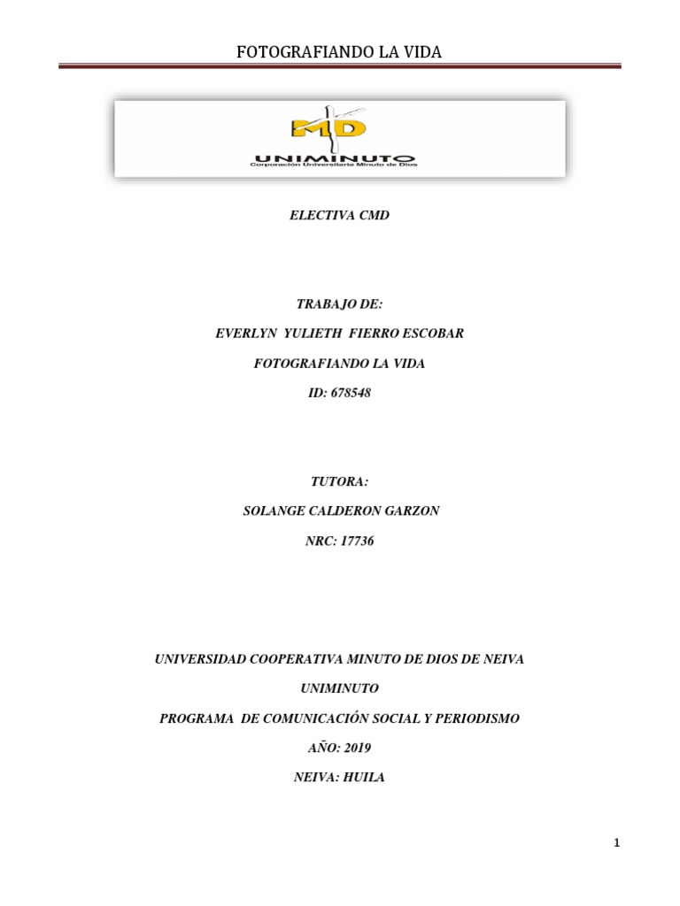 Electiva CMD 3 | PDF