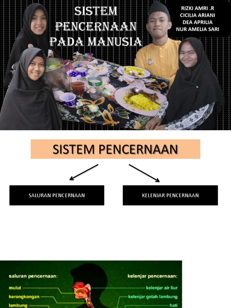 Enzim Enzim Pada Sistem Pencernaan Dan Fungsinya | PDF