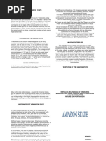 Ava'S - Amazon Rainforest Brochure | PDF | Amazon Rainforest | Trees