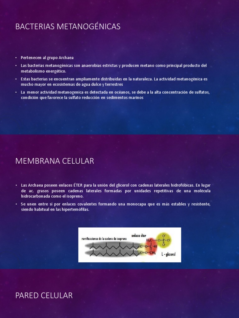 Bacterias metanogenicas | Metano | Archaea