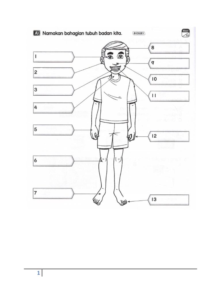 Latihan Sains Prasekolah | PDF