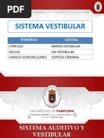 Organización del Colículo Inferior | PDF | Corteza cerebral | Neurona