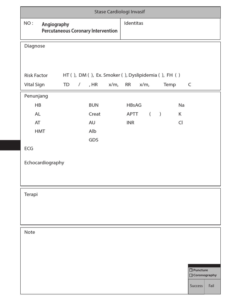 Format Data Cath Lab | PDF