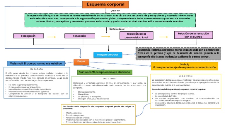 Mapa Conceptual Esquema Corporal | PDF | Percepción | Neurociencia