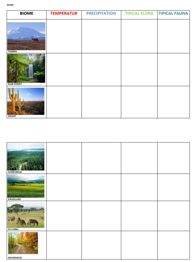 Biome Characteristics and Map Guide | PDF