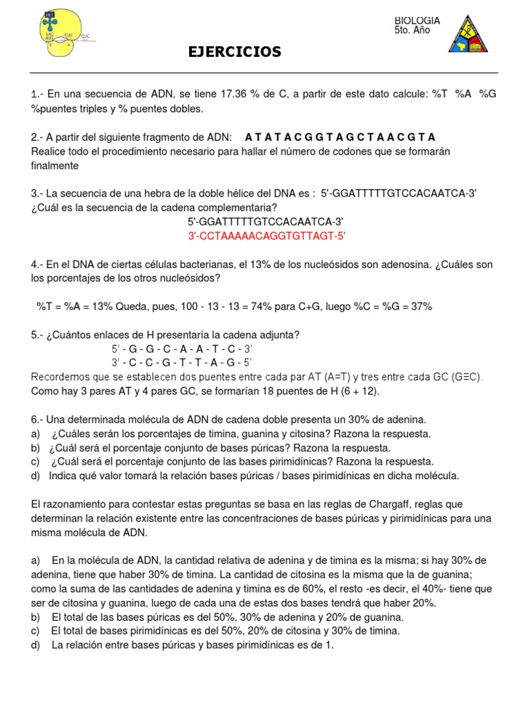 Ejercicios de ADN y ARN para Secundaria | PDF | Adn | Ácidos nucleicos