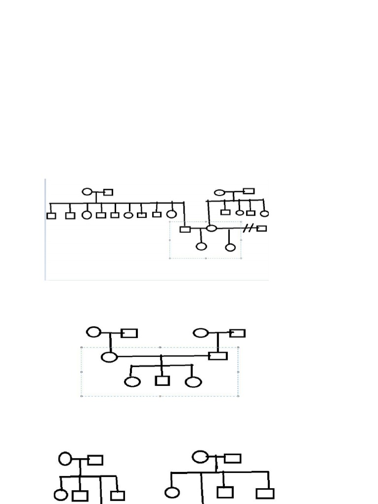 Genogram | PDF