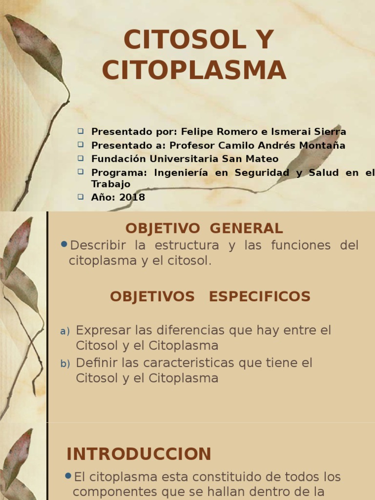 Citosol y Citoplasma | PDF | Citosol | Citoplasma