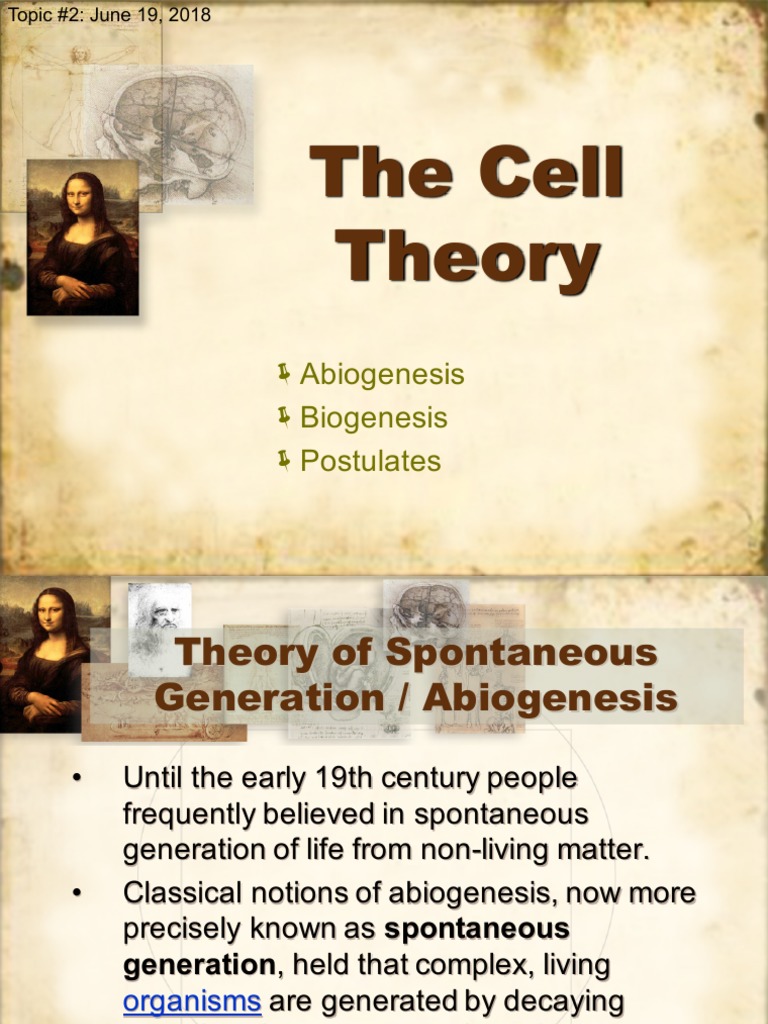 Bio 1 Topic 2 - Discovery of The Cell & The Cell Theory | PDF ...