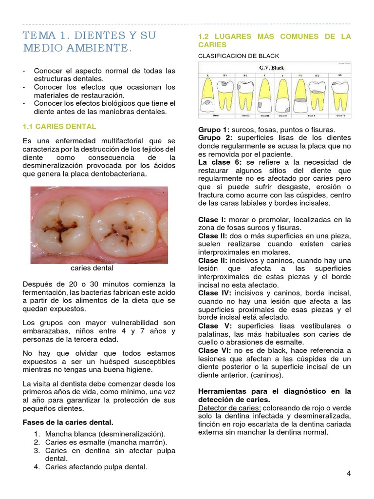 Cariologia | PDF | Odontología | Diente