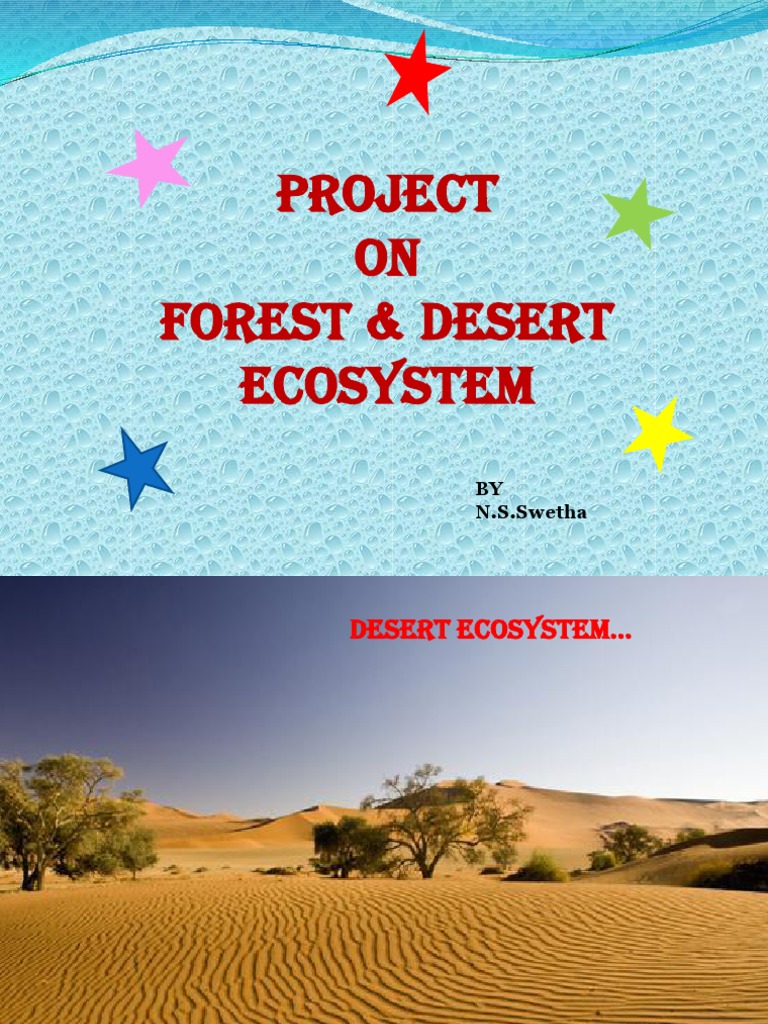 Forest and Desert Ecosystem Overview | PDF | Forests | Ecosystem