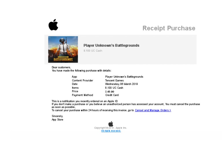 Receipt Purchase: Player Unknown's Battlegrounds | PDF