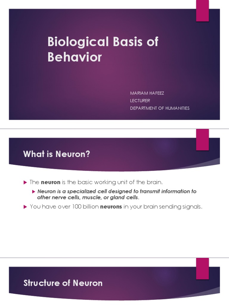 Biological Basis of Behaviour | PDF | Neuron | Nervous System