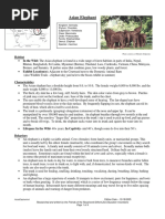 Elephant GI Anatomy & Physiology | PDF | Gastrointestinal Tract | Digestion