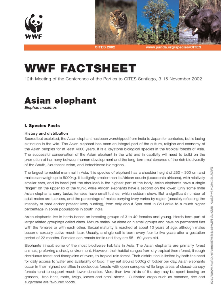Asian Elephant Factsheet PDF | PDF | Elephant | World Wide Fund For Nature