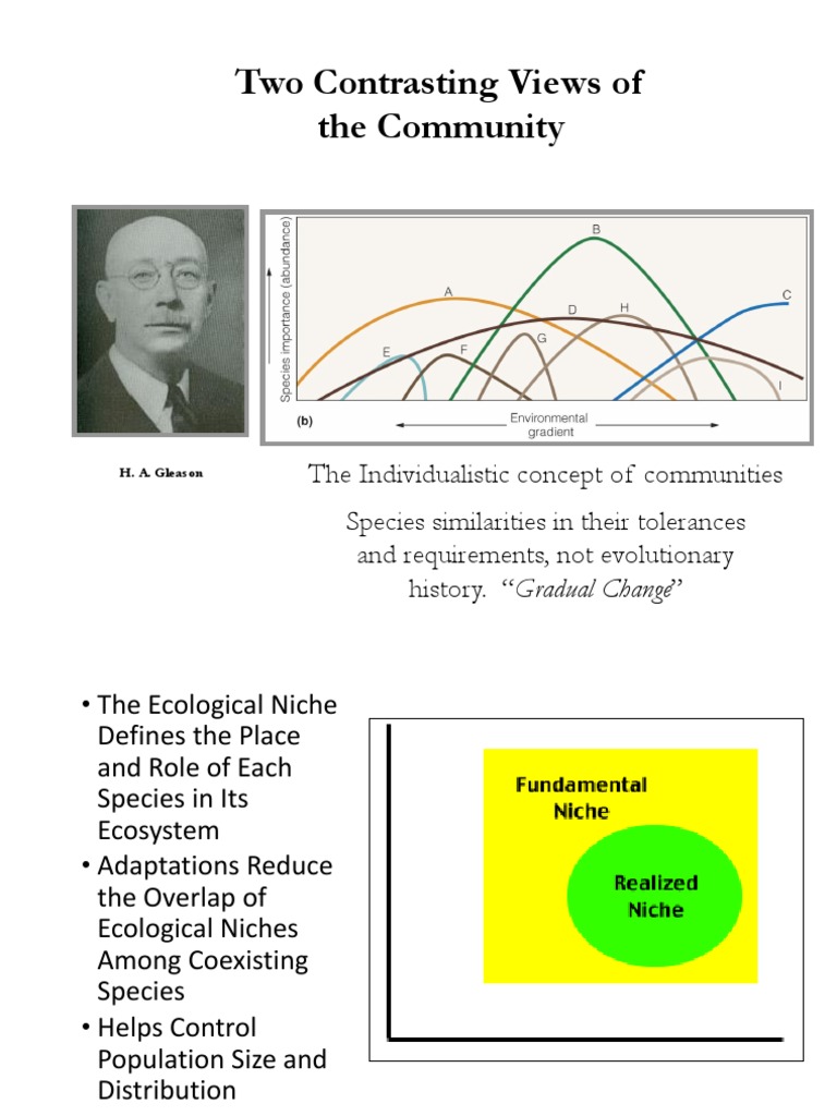 Two Contrasting Views of The Community | PDF