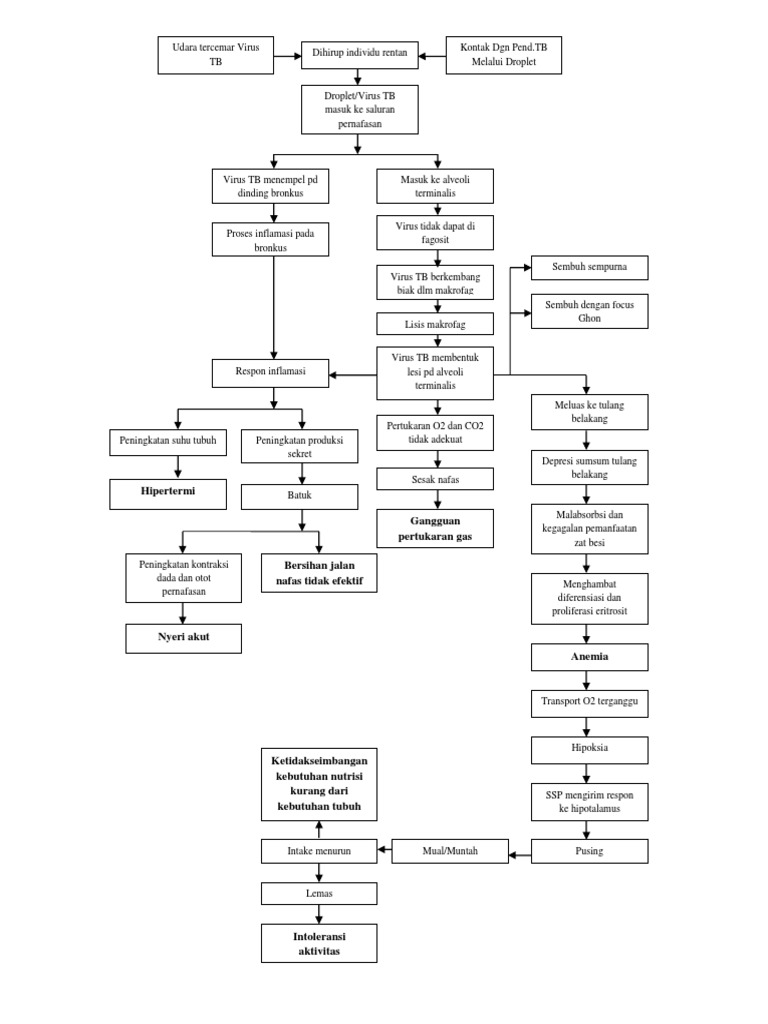Pathway TB Paru Dan Anemia | PDF