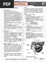 Conducto Ependimario | PDF | Sistema nervioso central | Anatomía humana
