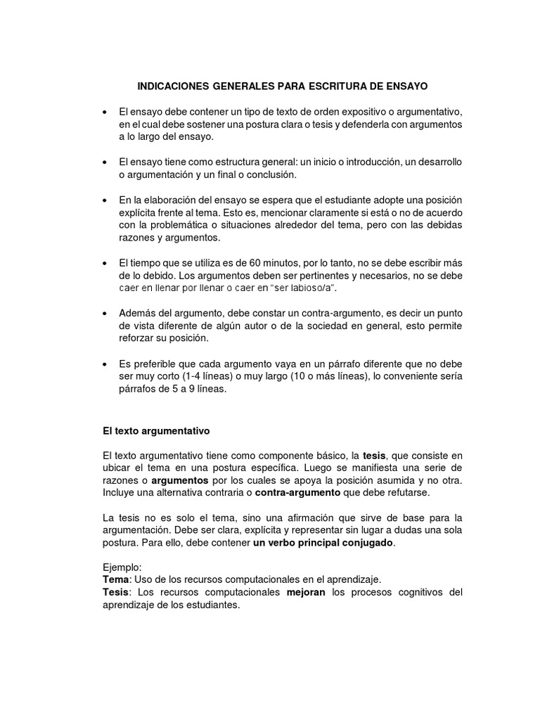 Indicaciones Ensayo | PDF | Coma | Ensayos