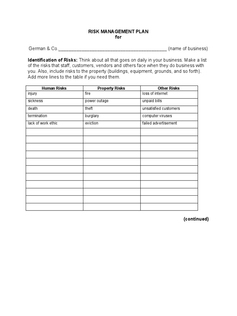 Risk Management Plan | PDF | Risk Management | Employment