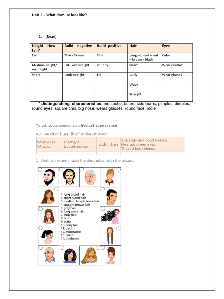 Describing Physical Appearance Worksheet | PDF | Human Appearance ...