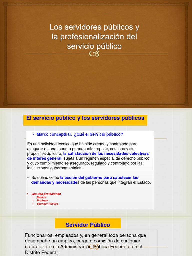 Los Servidores Públicos y Su Profesionalizacion | PDF | Administración ...