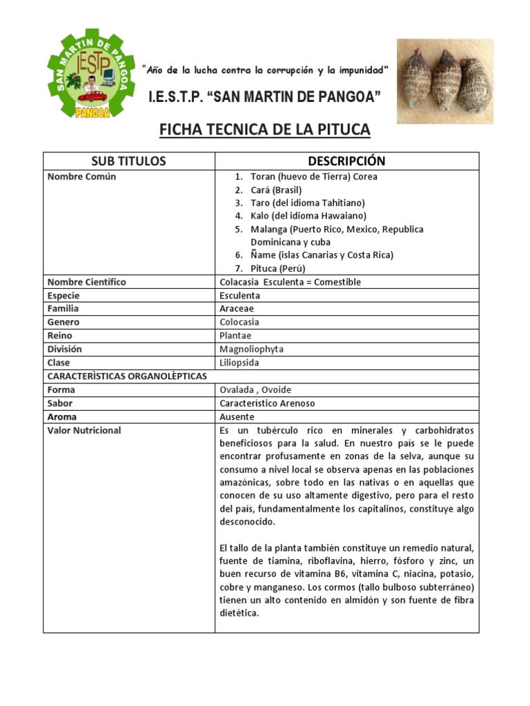 Ficha Tecnica de La Pituca | PDF | Comida y bebida | Nutrición