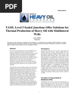 Multilateral Well | PDF | Oil Well | Casing (Borehole)