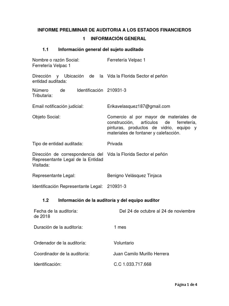 Informe Preliminar de Auditoría | Auditoría | Contabilidad