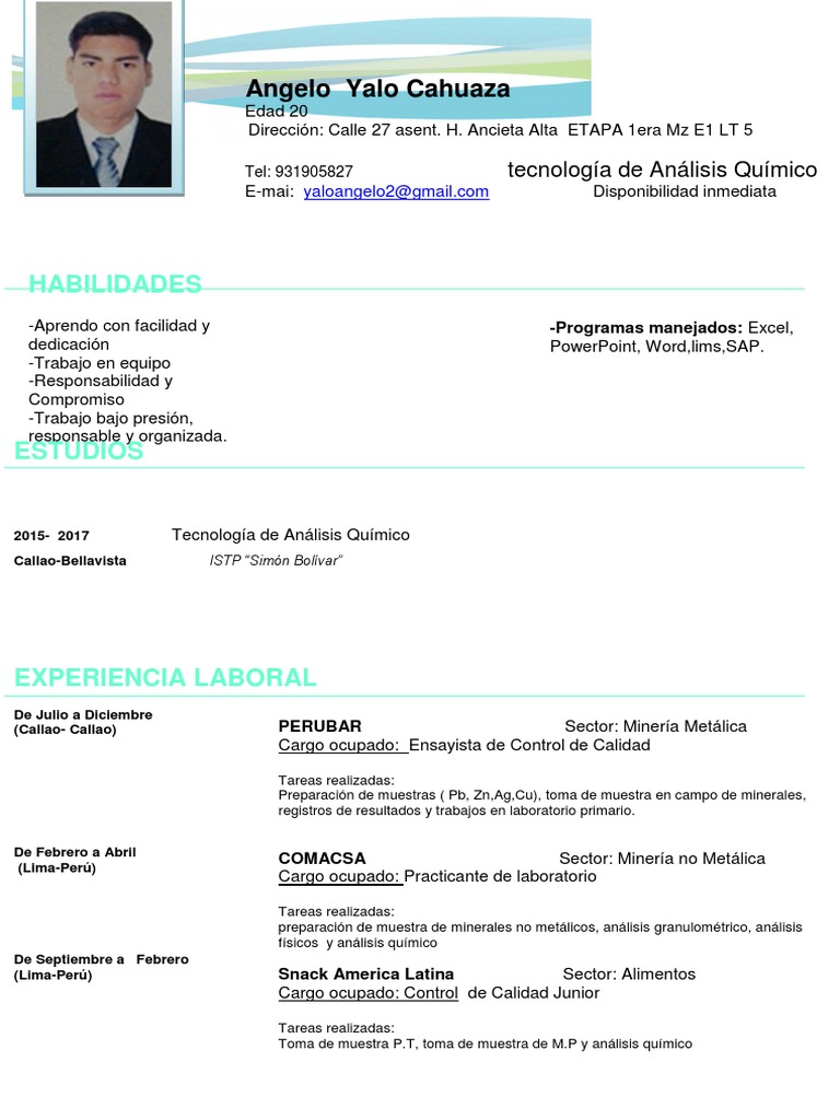 40-Curriculum-Vitae - Angelo | PDF