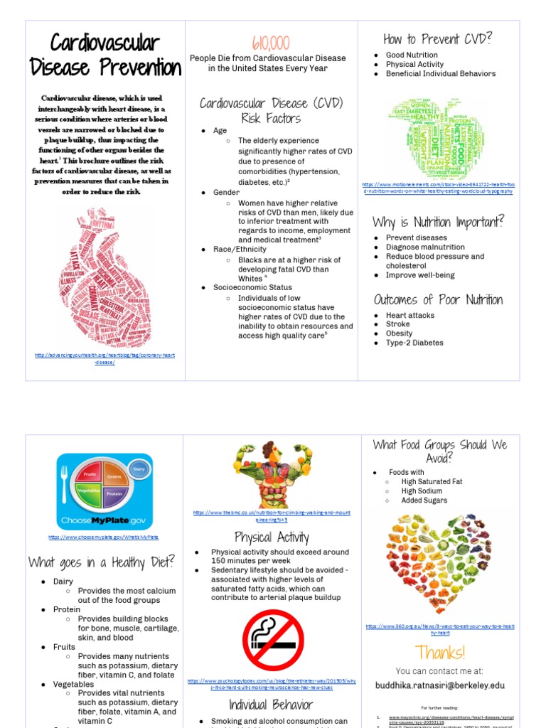 Eportfolio Brochure | PDF | Cardiovascular Diseases | Food And Drink