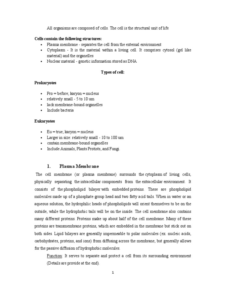 Cell Biology | PDF | Cell Membrane | Cell Nucleus