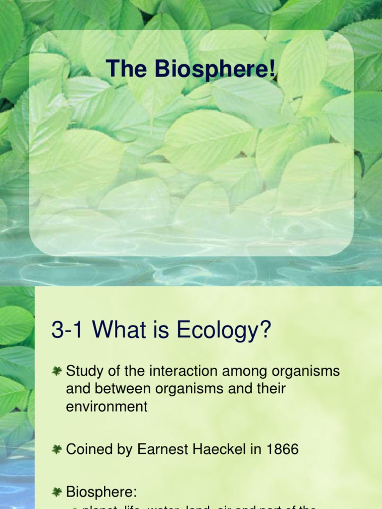 Biosphere | PDF | Food Web | Ecosystem