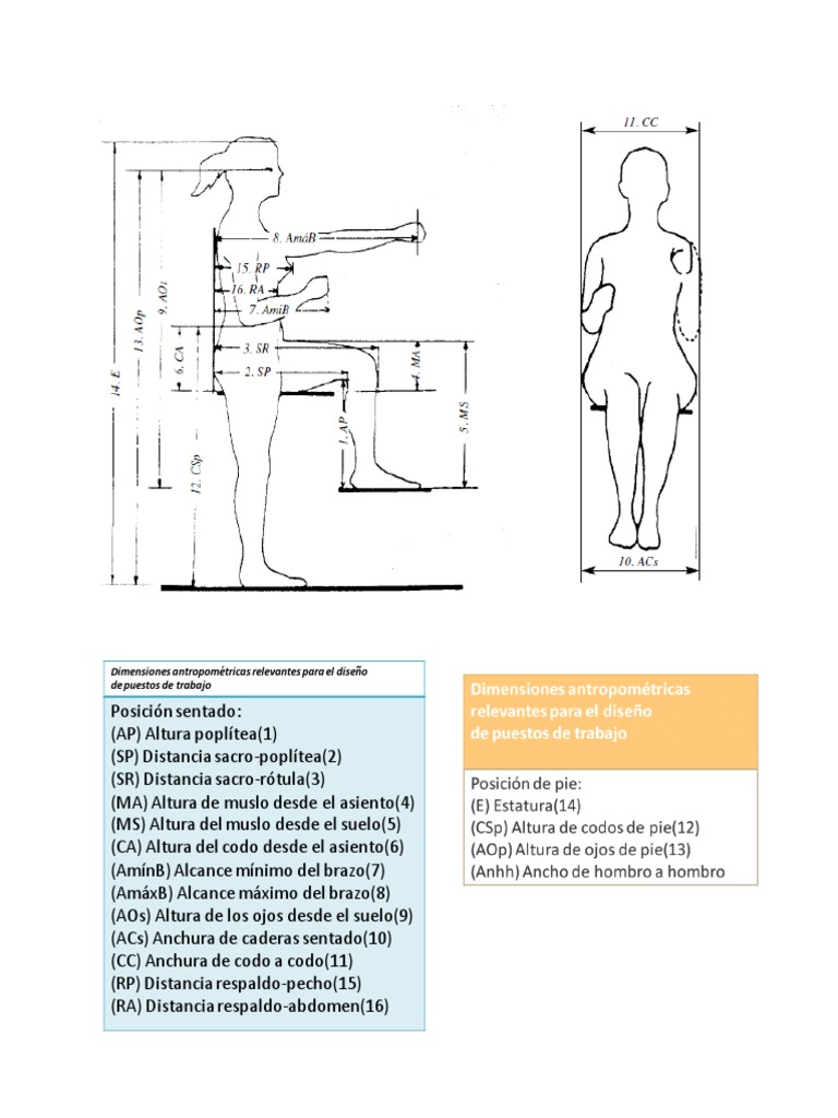 Medidas Antropometricas | PDF