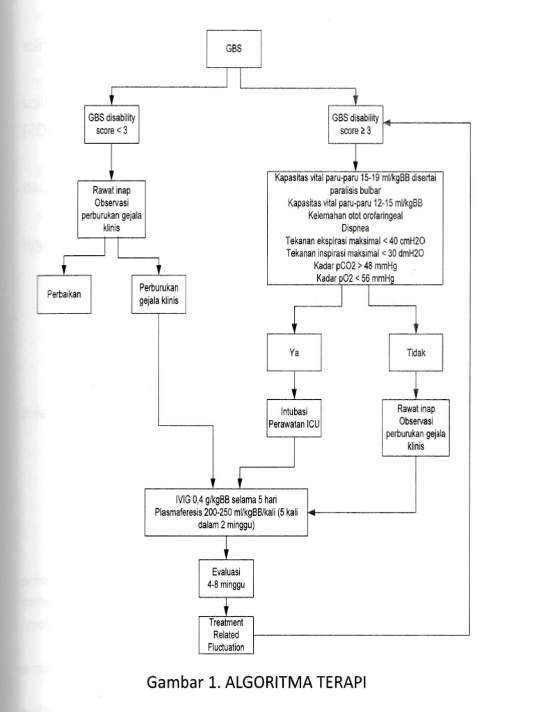 Algoritma GBS CIDP MG PDF | PDF