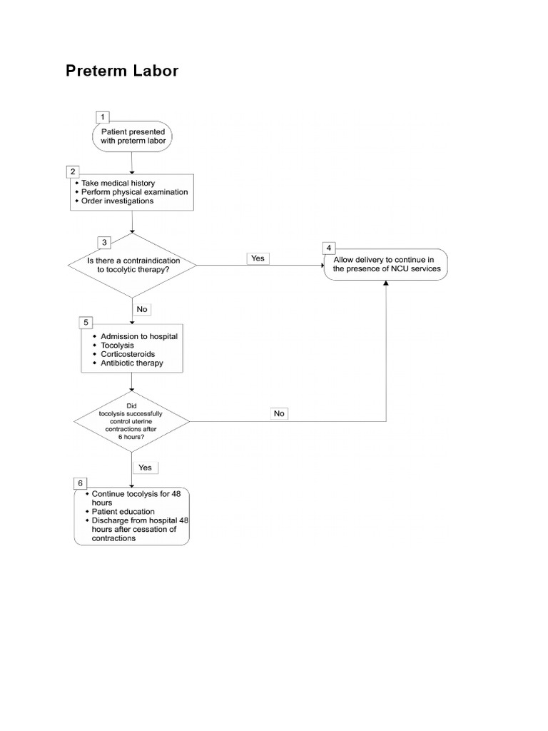 4 Flow Chart Preterm | PDF | Childbirth | Preterm Birth