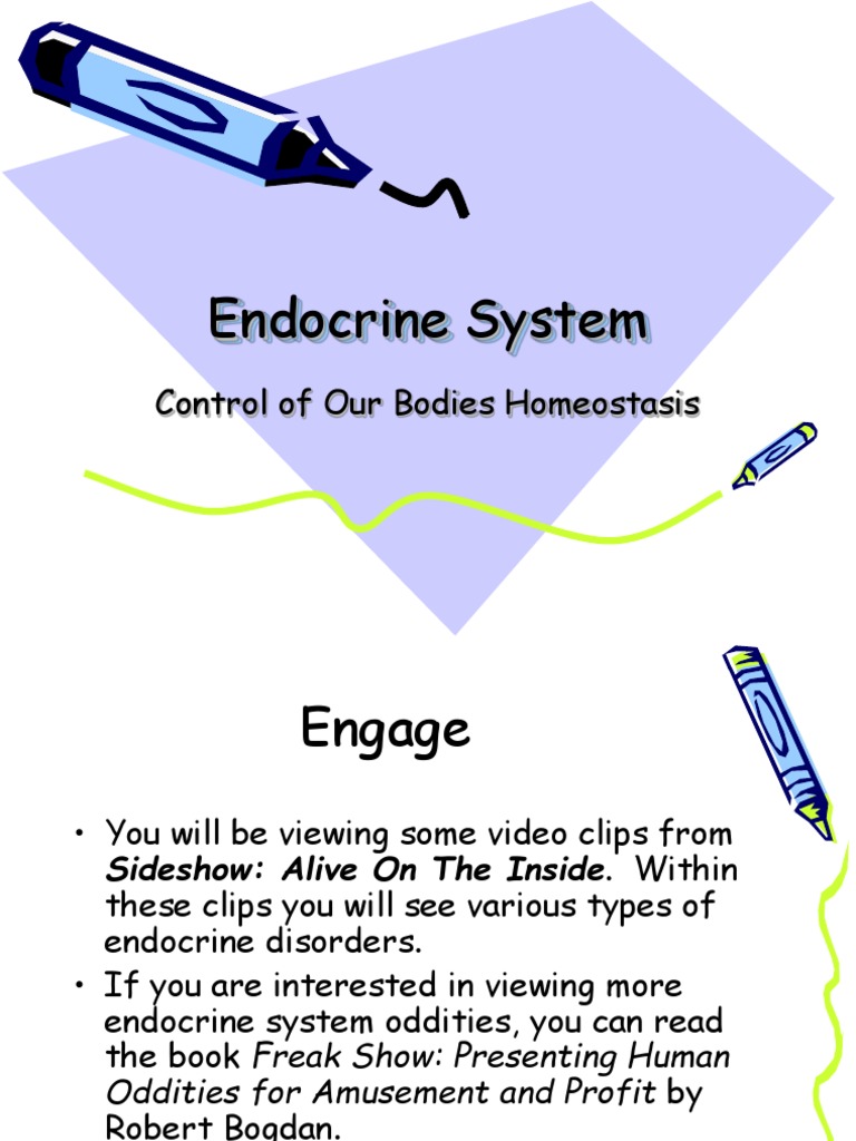 10 Biology 1 - 16 - 07 Endocrine System Feedback Systems | PDF ...