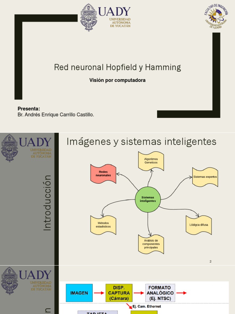 Red Hopfield y Hamming | PDF | Red neuronal artificial | Neurona