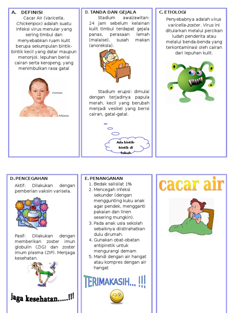 Leaflet Cacar Air | PDF