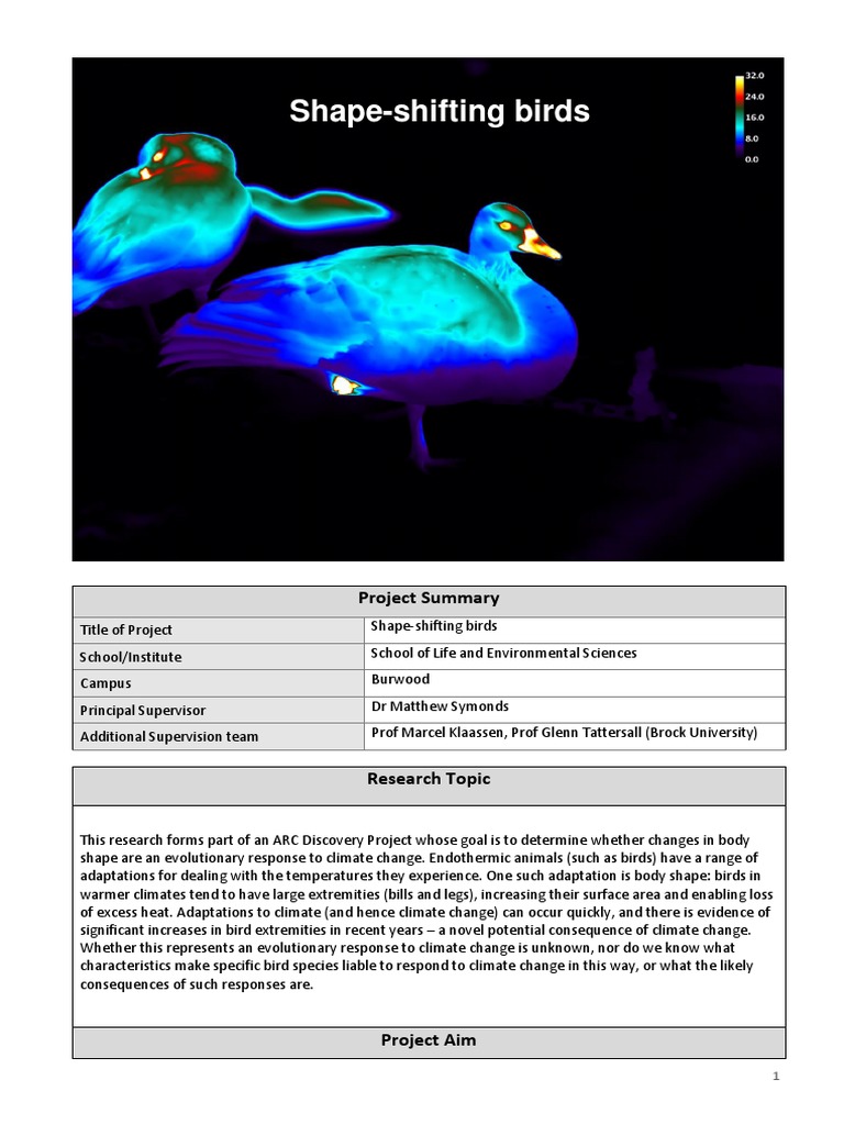 Shape-Shifting Birds: Project Summary | PDF | Birds | Climate Change